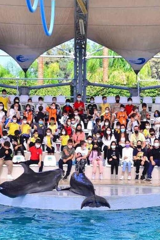 From Belek: Dolphin Show with Transfers - What to Expect from This Dolphin Show Tour