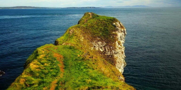 From Belfast: Giants Causeway Full-Day Private Guided Tour - An In-Depth Look at the Experience