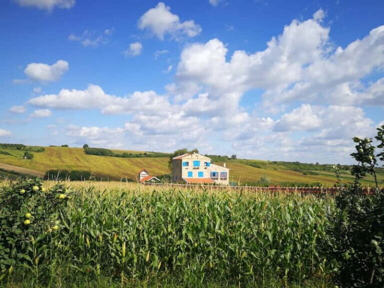 From Belgrade: Novi Sad & Fruska gora & winery and monastery - An Authentic Serbian Journey through Vojvodina’s Treasures