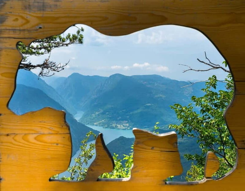 From Belgrade: Tara National Park & Drina River Valley Tour - Transportation and Logistics