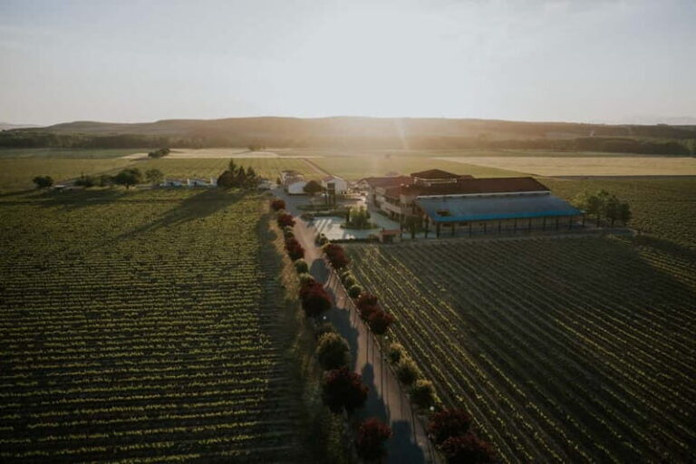 From Bilbao: La Rioja a journey to the vineyards & tradition - Practical Details and What to Expect