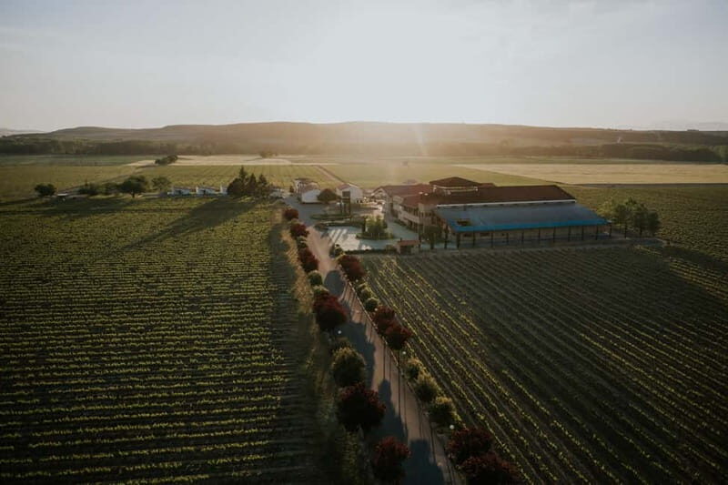 From Bilbao: La Rioja a journey to the vineyards & tradition - Practical Details and What to Expect