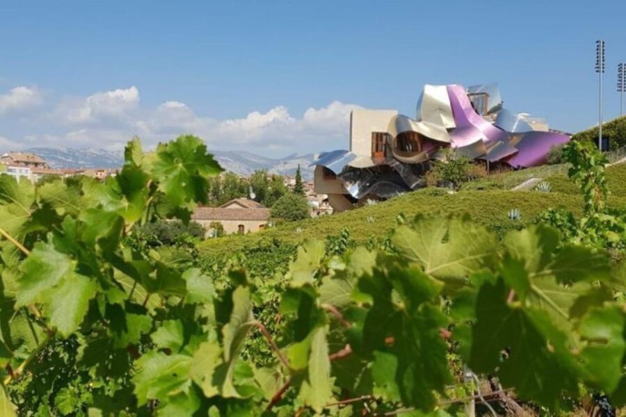 From Bilbao: Rioja Architecture and Wine Tour - Analyzing the Cost and Value