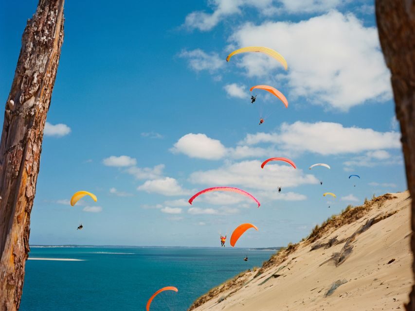 From Bordeaux: Arcachon and Pilat Dune Private Tour - Who Should Consider This Tour?