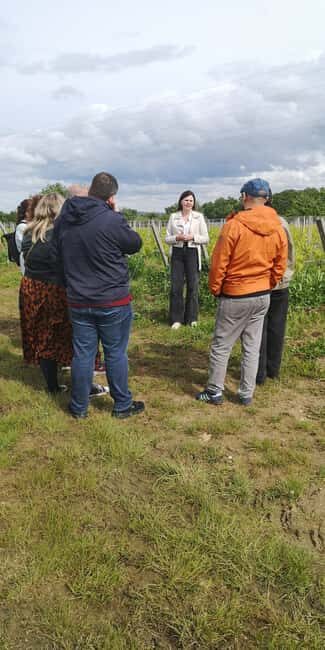 From Bordeaux: Bordeaux wine tour off the beaten path - Why This Tour Works for You