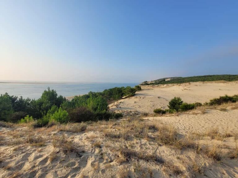 From Bordeaux: Dune du Pilat, Arcachon Bay and Oyster Village Private Tour - The Itinerary: What to Expect