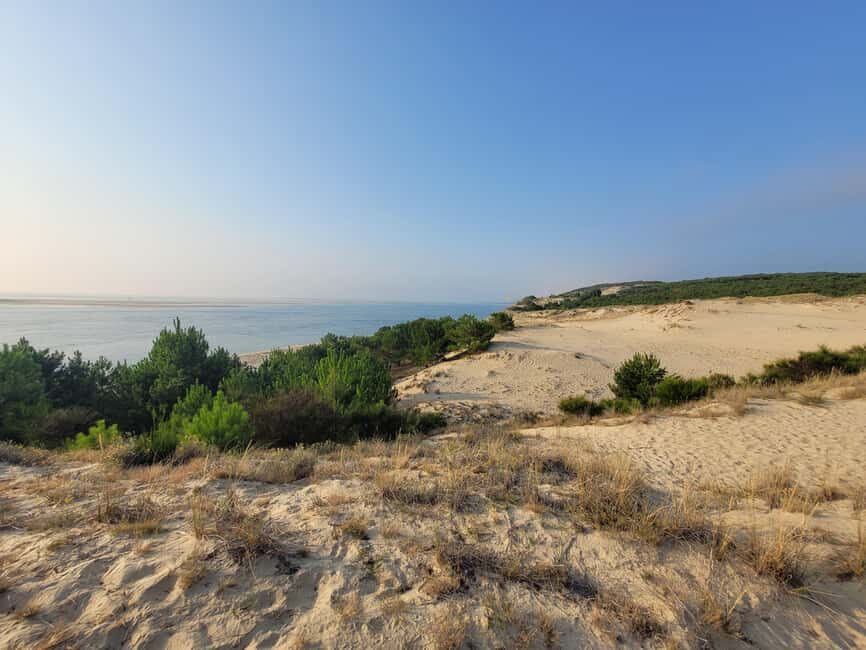From Bordeaux: Dune du Pilat, Arcachon Bay and Oyster Village Private Tour - The Itinerary: What to Expect