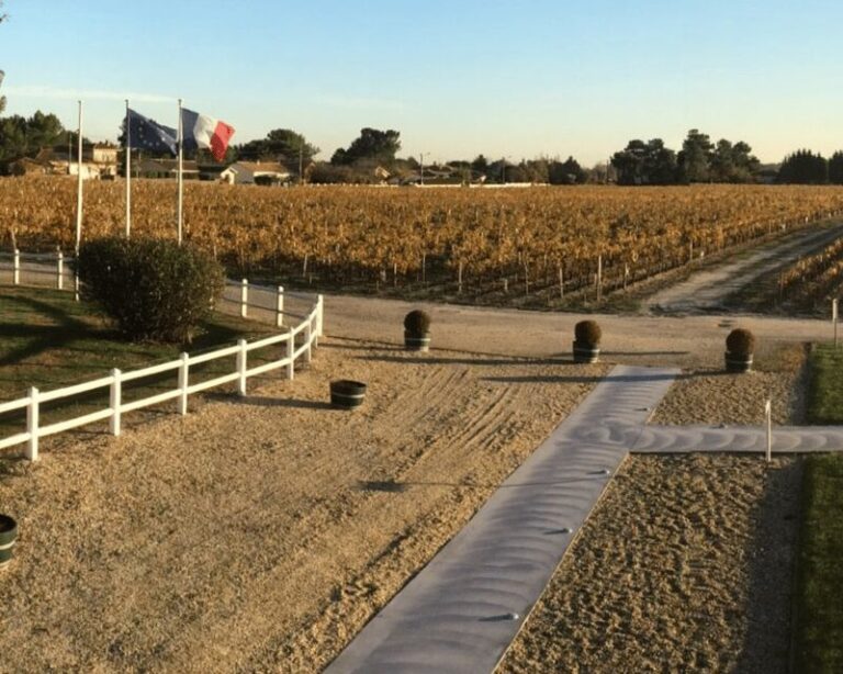 From Bordeaux: Médoc & Margaux Wine Tour Classified Growths - Who Is This Tour For?