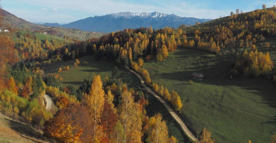 From Brasov: Romanian Mountain Villages Day Tour - Exploring the Heart of Transylvania: What the Tour Offers