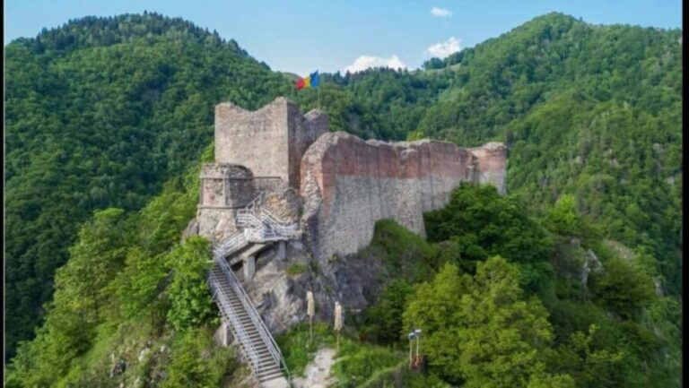 From Bucharest: Fgra Mountains and Bear Watching Tour - Key Points