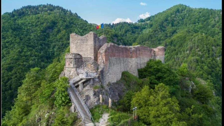 From Bucharest: Fgra Mountains and Bear Watching Tour - Key Points