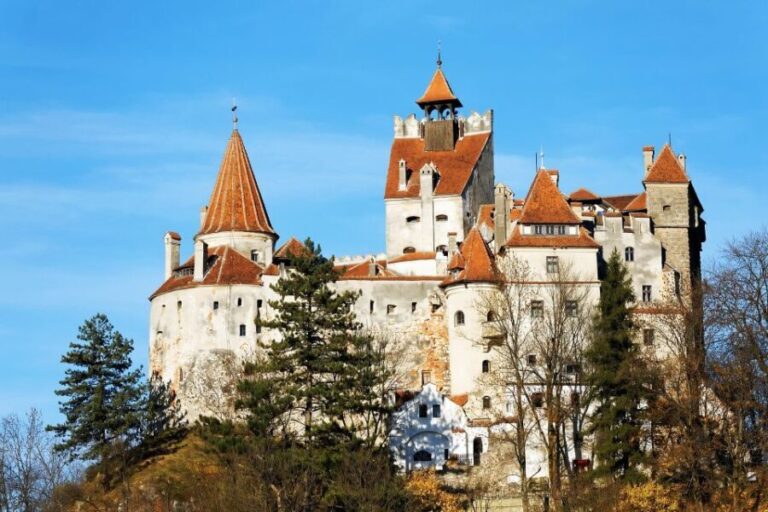 From Bucharest: Libearty Bear Sanctuary and Dracula's Castle - Who Will Love This Tour?