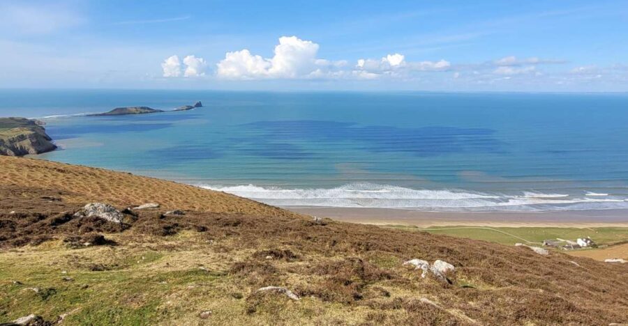 From Cardiff: The Wandering Bard's Swansea Bay Day Tour - A Stroll Through Mumbles and Lunch Options