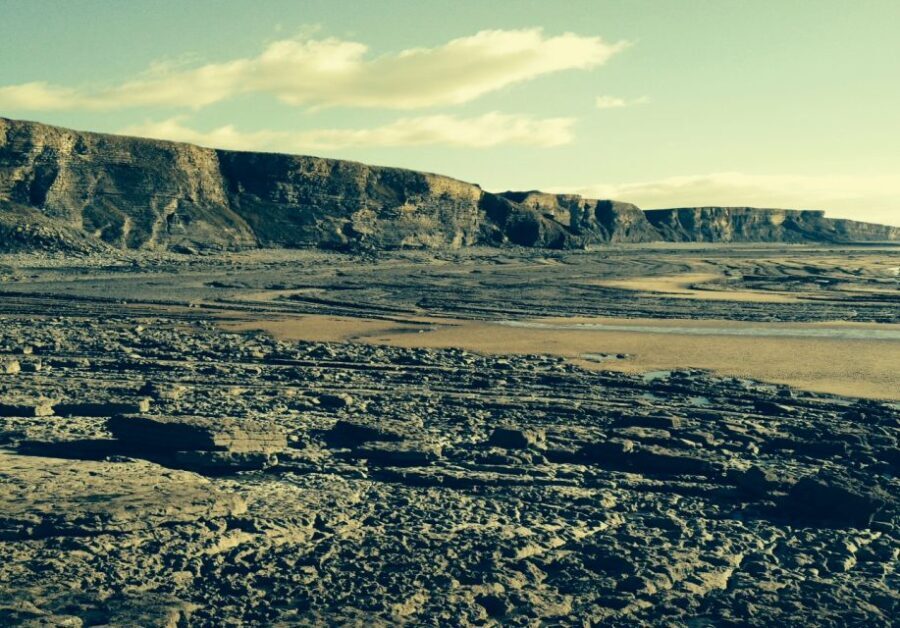 From Cardiff: Tour of Cardiff Bay and Vale of Glamorgan - Why You’ll Love This Tour