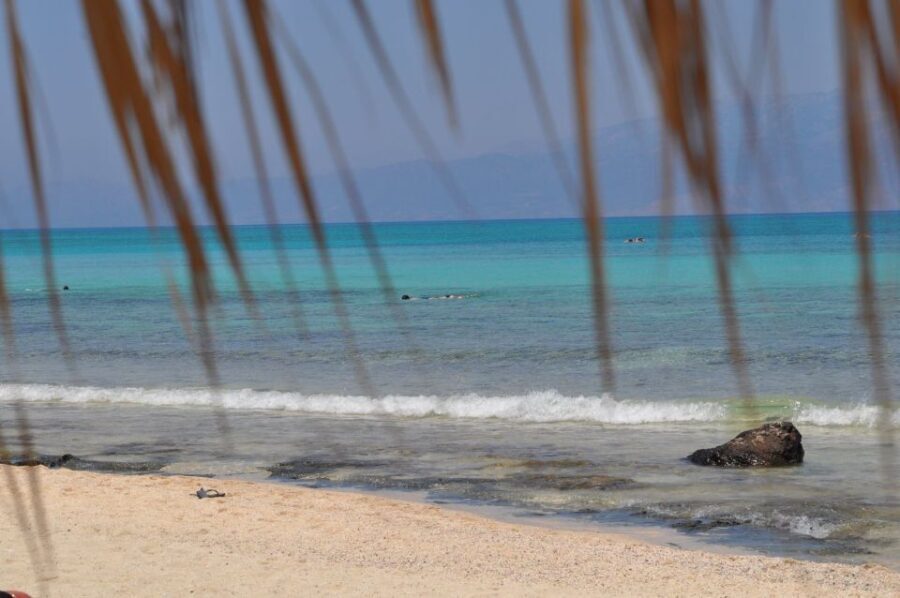 From Chania Area: Day Trip to Elafonisi Island by Bus - Transportation and Logistics