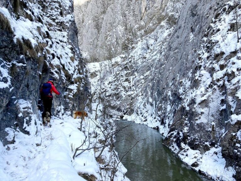 From Cluj: Turda Salt Mine, Gorge, and Remetea Full-Day Trip - The Value and Practicalities