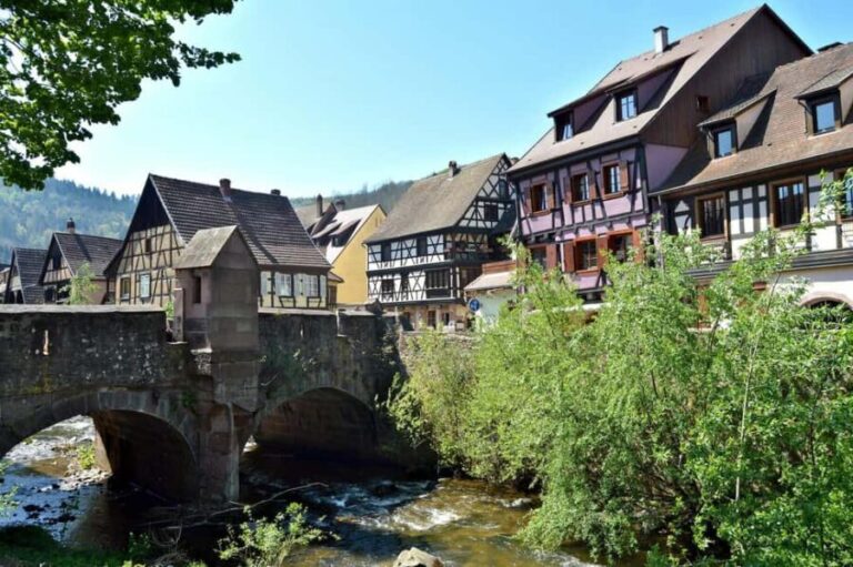 From Colmar: The 4 most beautiful village in Alsace Full Day - Who Is This Tour Best Suited For?
