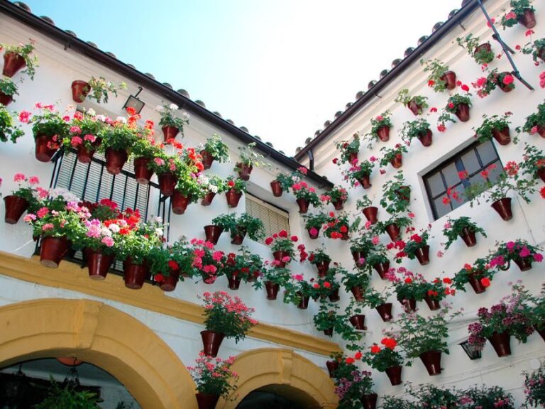 From Costa del Sol: Day Trip to Cordoba Free Time - Arriving in Córdoba: Your Five Hours of Freedom