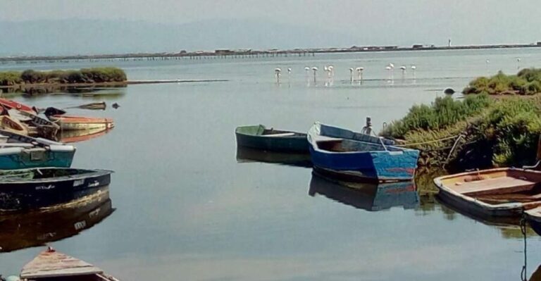From Deltebre: Ebro Delta National Park Multi-Stop Day Trip - The Itinerary in Detail