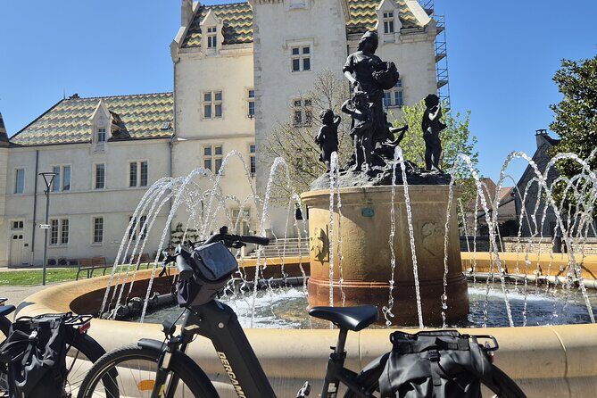 From Dijon or Beaune: E-Bike Burgundy day tour, tastings & lunch - Stop 4: Chassagne-Montrachet and the Montrachet Grand Cru