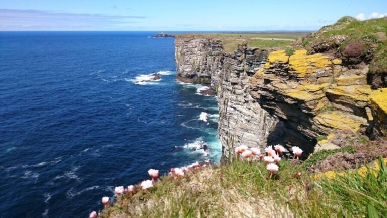 From Edinburgh: Orkney and The Far North 5-Day Tour - What Travelers Say & Why It Matters