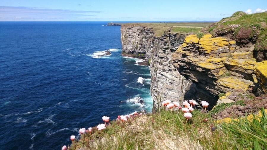 From Edinburgh: Orkney and The Far North 5-Day Tour - What Travelers Say & Why It Matters