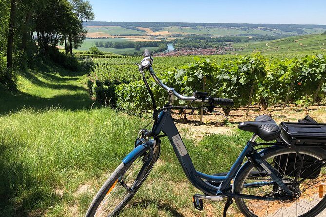 From Epernay Full day Electric bike Champagne and lunch - A Detailed Look at the Experience