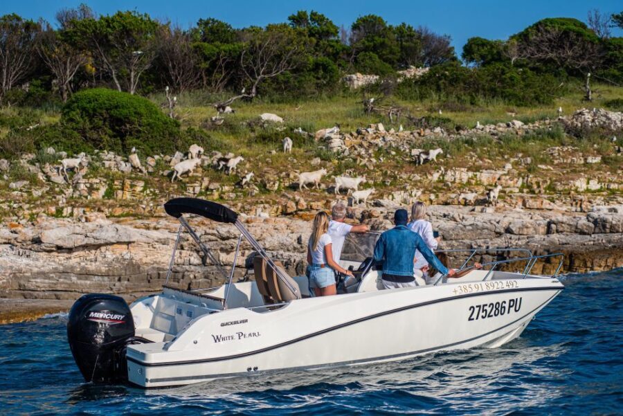 From Faana: Private boat tour of Brijuni Islands - Summary: Why Choose This Tour?