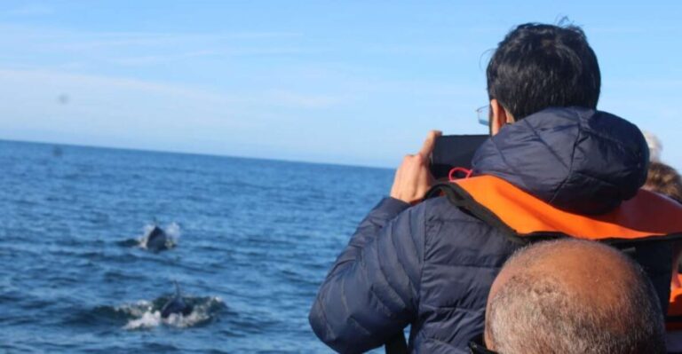 From Faro: Dolphin Watching & 2 Islands Tour - Who Is This Tour Best Suited For?