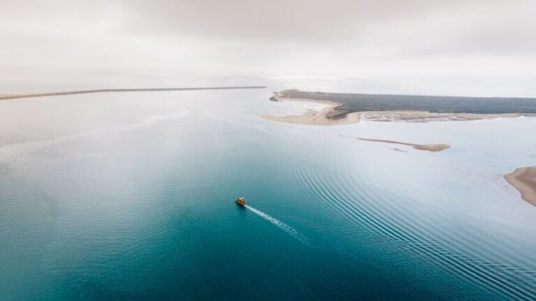 From Faro: Ria Formosa Eco Tour guided by Marine Biologist - Practical Details and Considerations