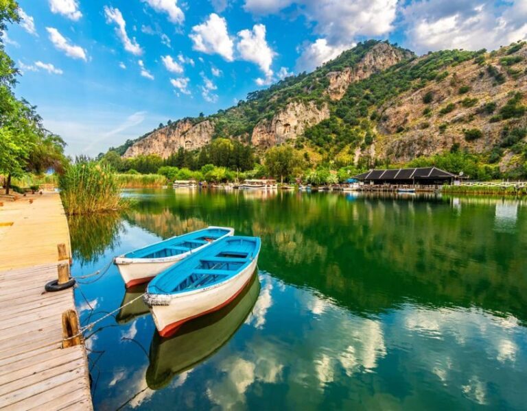 From Fethiye: Dalyan Day Trip with Mud Bath and Turtle Beach - Practical Details and Tips