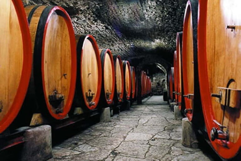 From Florence: Chianti Wine Tour with Driver-Guide - Why This Tour Offers Great Value