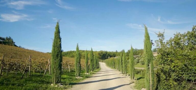 From Florence: Private Half-Day Chianti Tour & Wine Tasting - Who Should Consider This Tour?