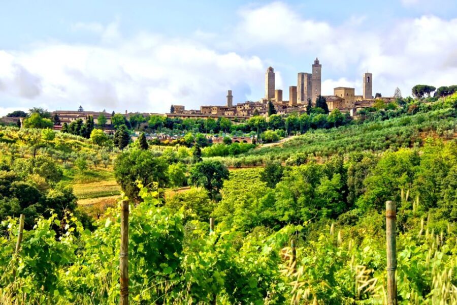 From Florence: Tuscany Day Trip with a Private Chauffeur - The Details That Matter