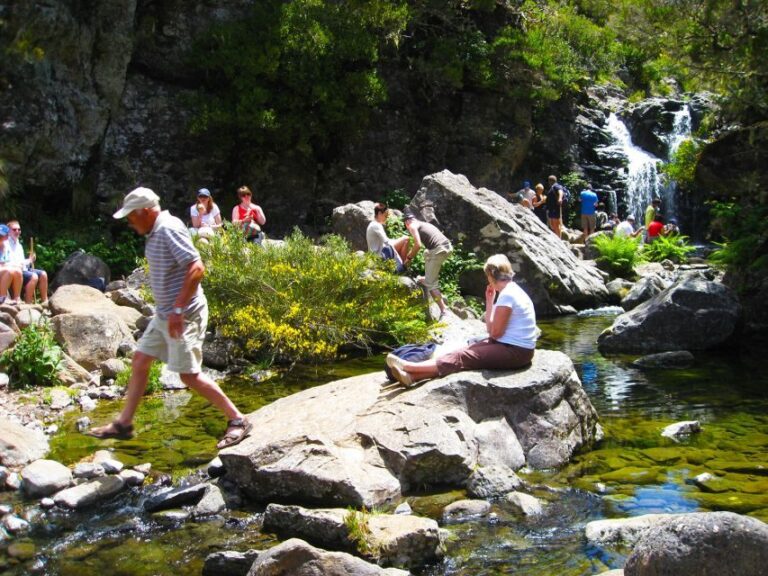From Funchal: Madeira Lakes Levada Guided Hike - Practical Details and What to Bring