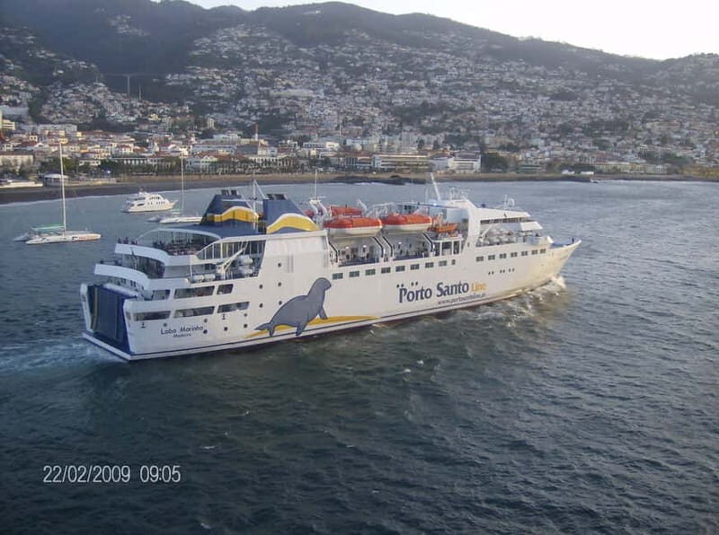 From Funchal: Porto Santo 1-Day Cruise and Tour - Authentic Guest Experiences and Insights