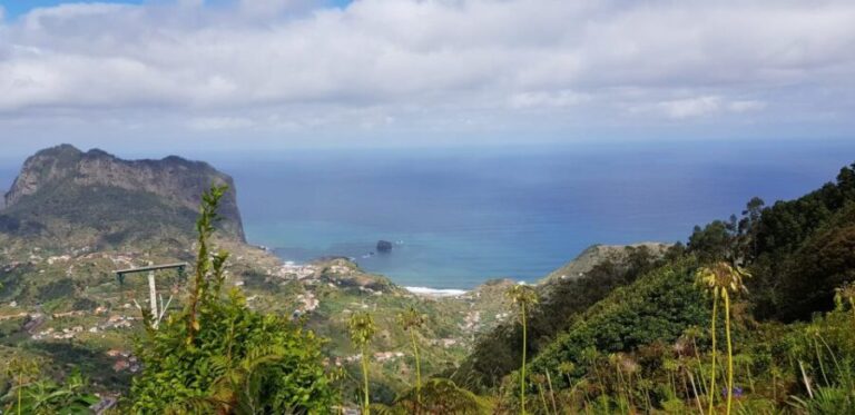 From Funchal: Santana and Pico do Areeiro East Island Tour - What the Reviews Say