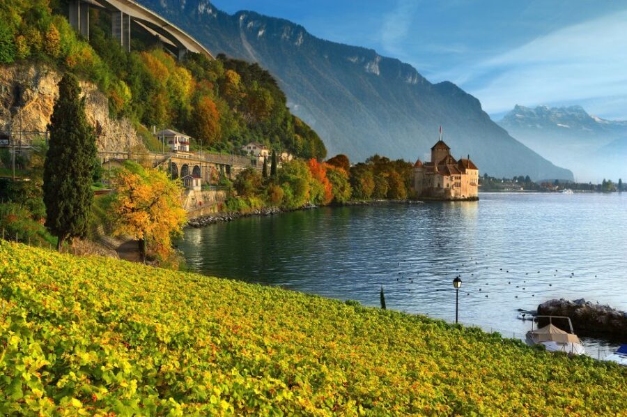 From Geneva: Swiss Riviera Private Tour - Who Will Love This Tour?