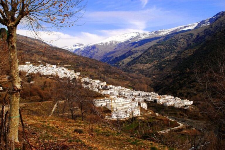 From Granada: Day Trip to Trevélez with Ham Factory - Who Should Consider This Tour?