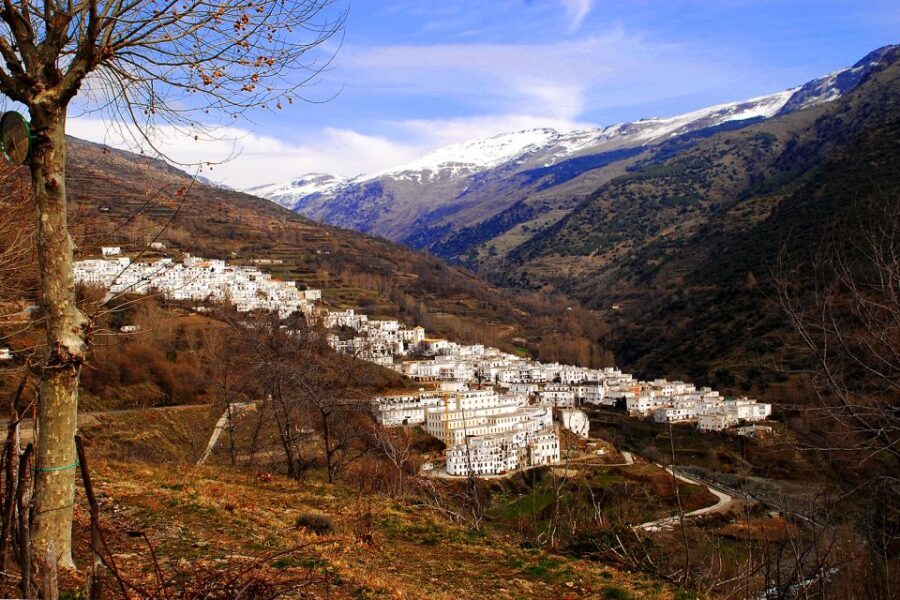 From Granada: Day Trip to Trevélez with Ham Factory - Who Should Consider This Tour?