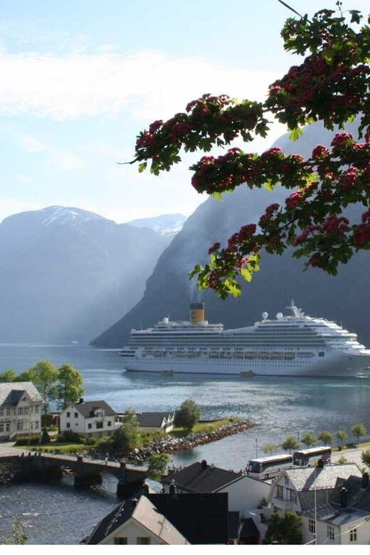 From Hellesylt: The Best of Geiranger Shore Excursion - The Experience: What Travelers Say