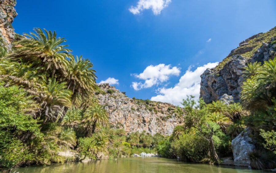 From Heraklion: Preveli Tropical Beach & Palm Forest Hike - Transportation and Group Size