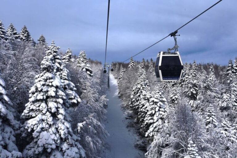 From Istanbul: Bursa and Mt. Uluda Full-Day Tour - Transportation and Group Experience