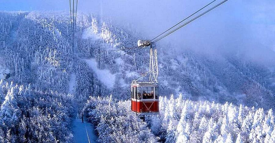 From Istanbul: Full-Day Tour to Bursa - Practical Aspects to Consider