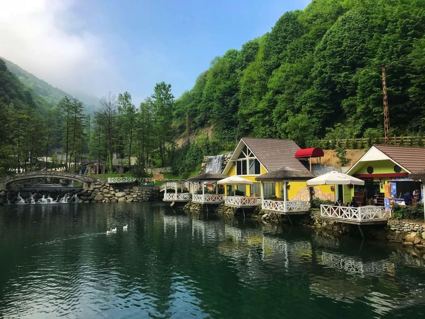 From Istanbul: Guided Day Trip to Sapanca and Masukiye - Authentic Review Insights: What Travelers Really Think