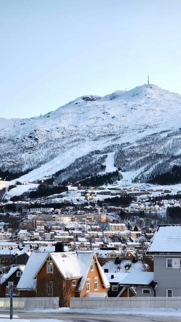 From Kiruna: Narvik City and Fjord Day Trip - Why This Tour Offers Good Value