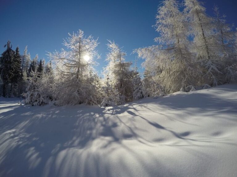 From Krakow: 3-Hour Skiing Experience Suitable for Beginners - Why This Tour Works for Beginners and Families