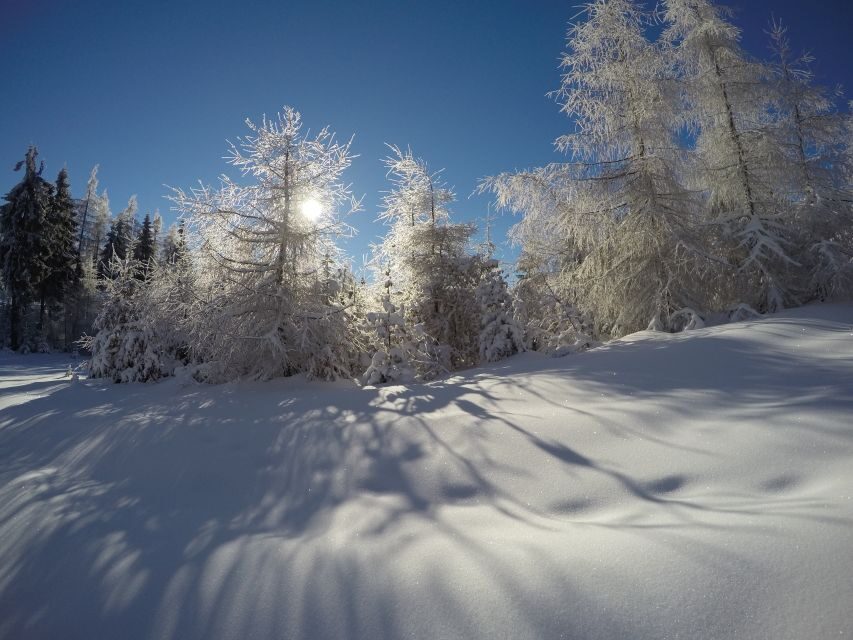 From Krakow: 3-Hour Skiing Experience Suitable for Beginners - Why This Tour Works for Beginners and Families