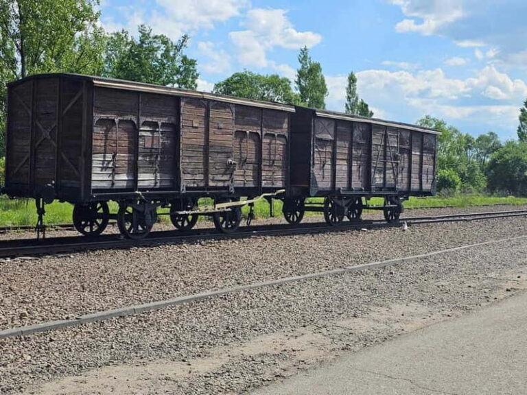 From Krakow: Auschwitz-Birkenau Guided Tour with Pickup - A Detailed Look at the Auschwitz-Birkenau Guided Tour
