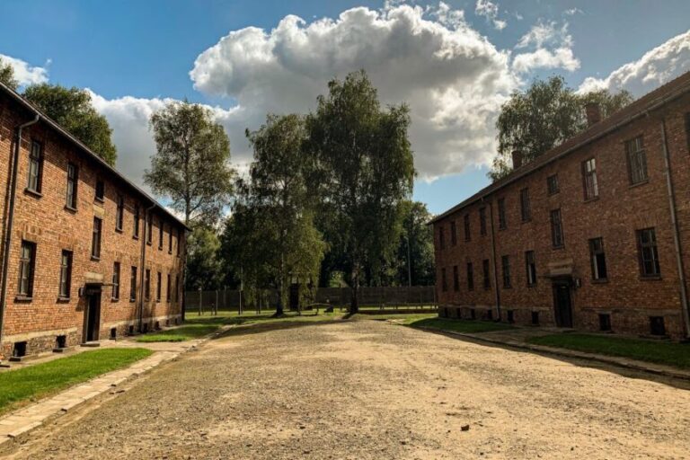 From Krakow: Auschwitz-Birkenau Memorial and Museum Tour - Authentic Insights from Reviewers
